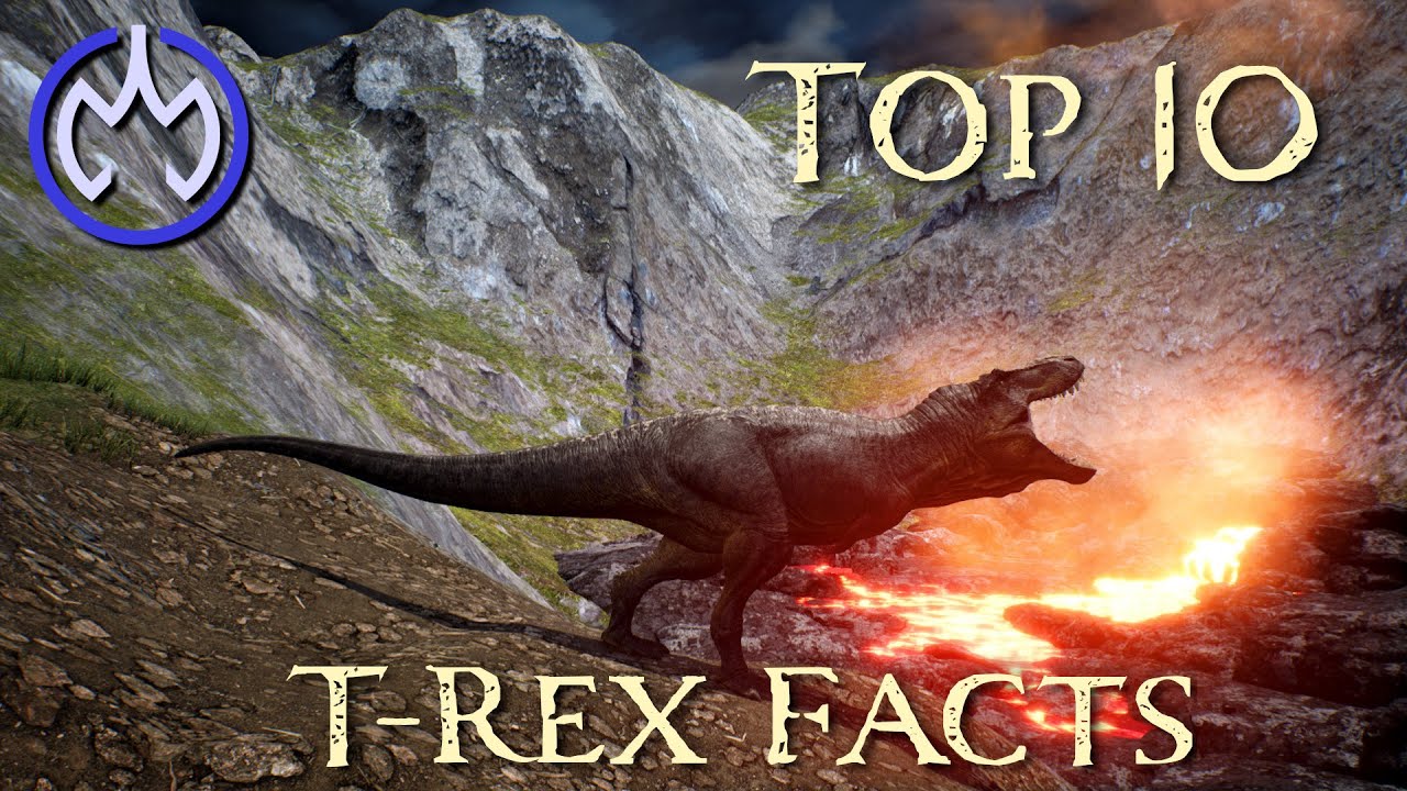 Top 10 ACTUAL Tyrannosaurus Rex Facts. A short T-rex dinosaur ...