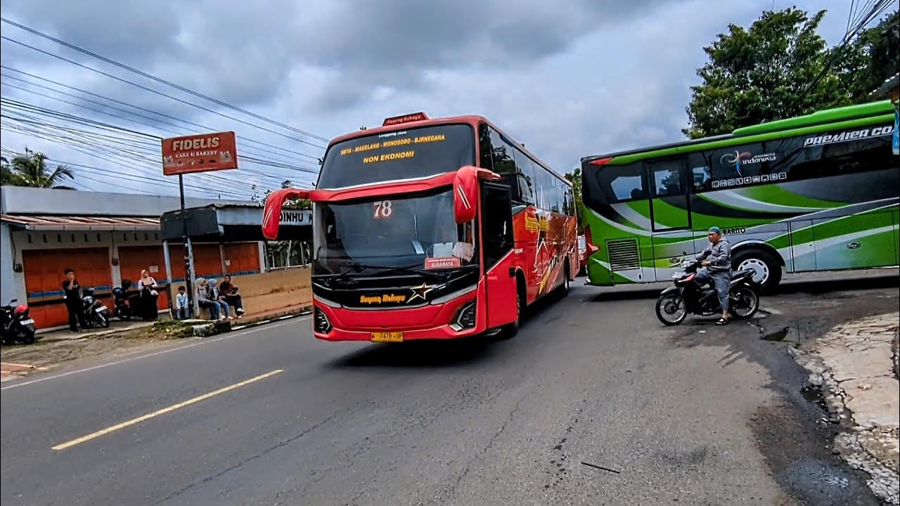 12 UNIT BUS BARITO PARIWISATA KE BALI, BAGAIMANA DENGAN SUGENG RAHAYU ...