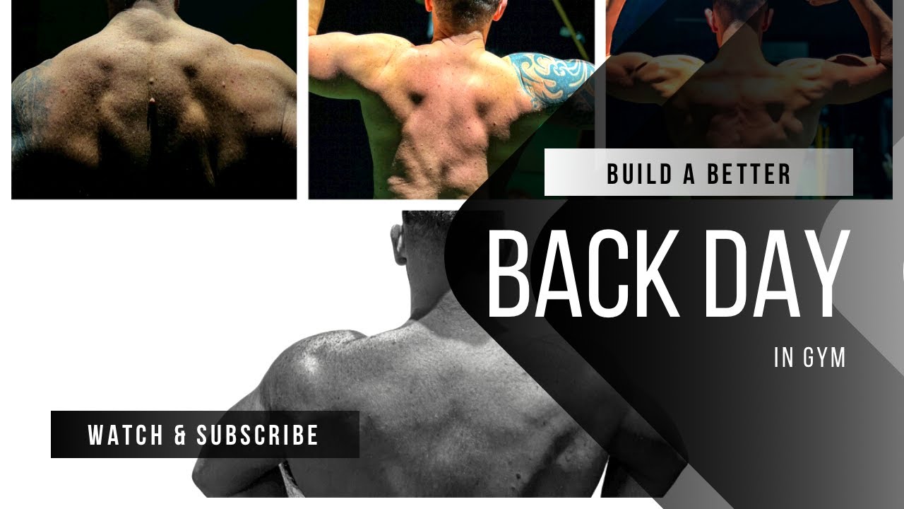 Build a BIGGER BACK - In Gym Tutorial - YouTube