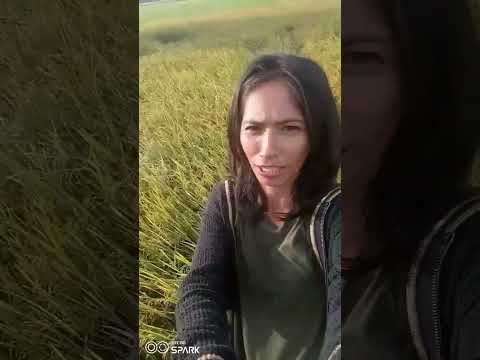 proud mag uuma - YouTube