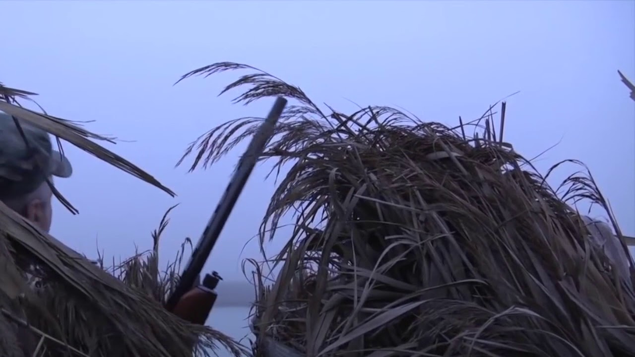Waterfowl hunting in Italy with Baschieri & Pellagri Team - YouTube