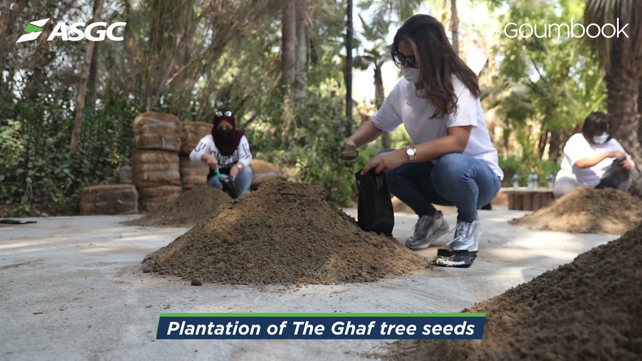 Goumbook x ASGC | Ghaf Seed Planting | 2021 06 03 - YouTube