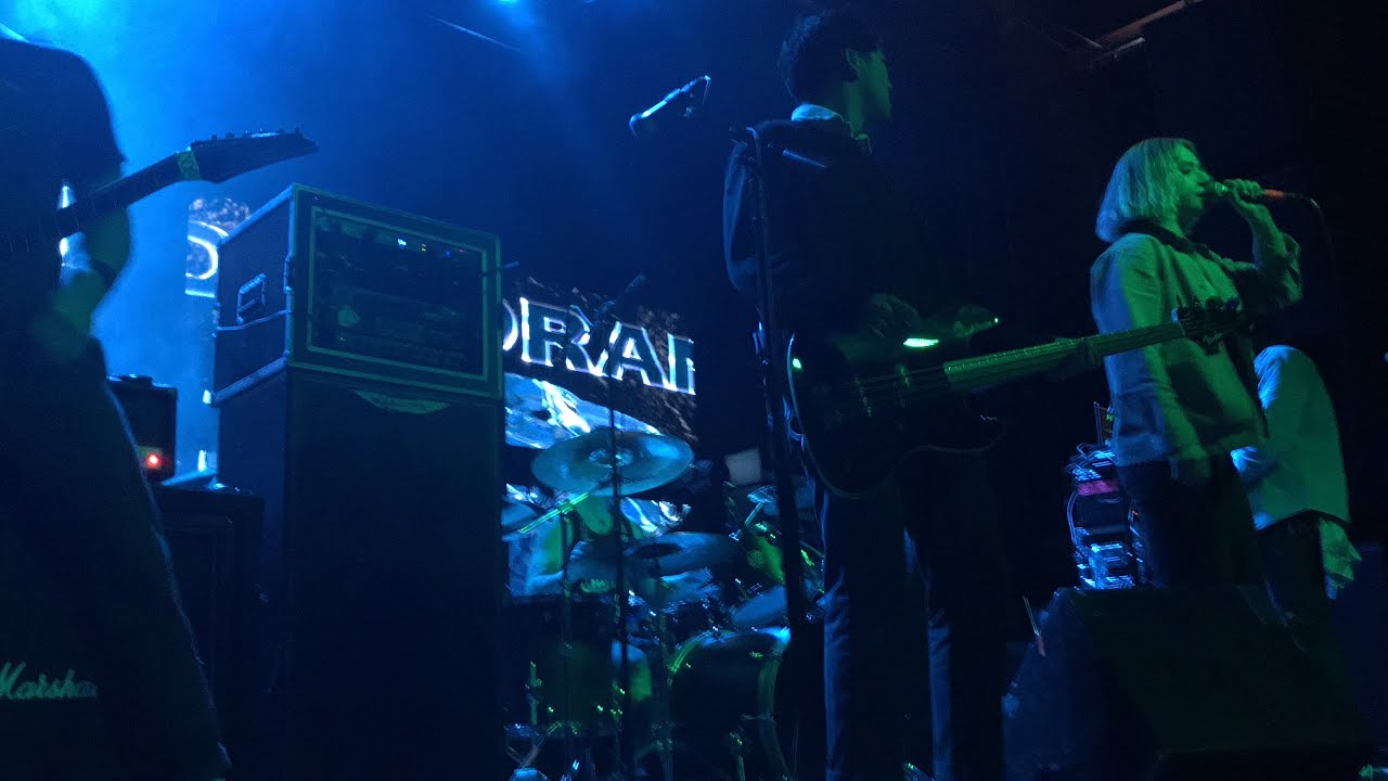 Dying Wish - Cowards Feed, Cowards Bleed & Hollowed by Affliction (Live ...