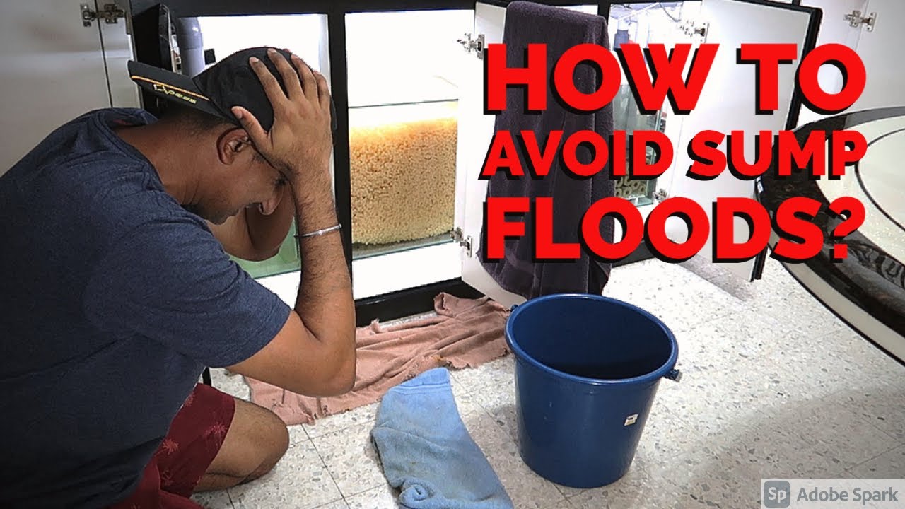 HOW TO AVOID AQUARIUM SUMP FLOODS? AVOID THESE 2 MISTAKES!! - YouTube