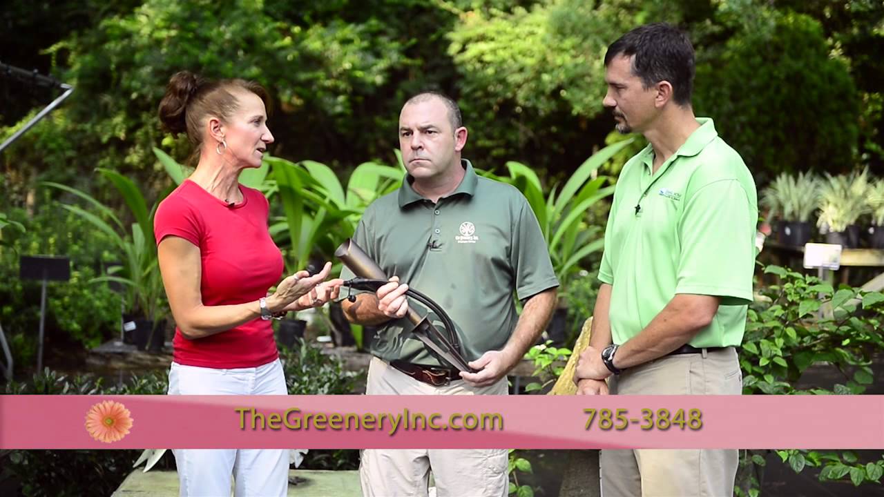 GIRL TALK | Ron Gable with The Greenery | www.thegreeneryinc.com - YouTube