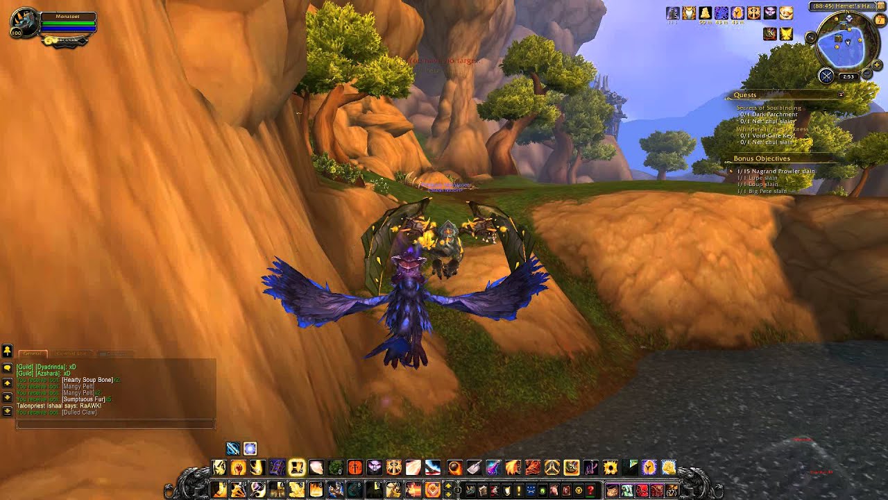 Bonus Objective: Hemet's Happy Hunting Grounds (WoW, human, Paladin ...