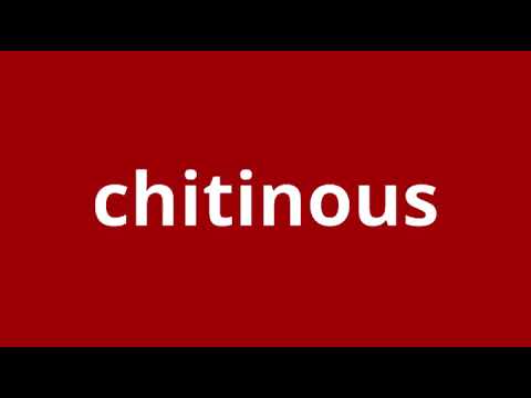 what is the meaning of chitinous. - YouTube