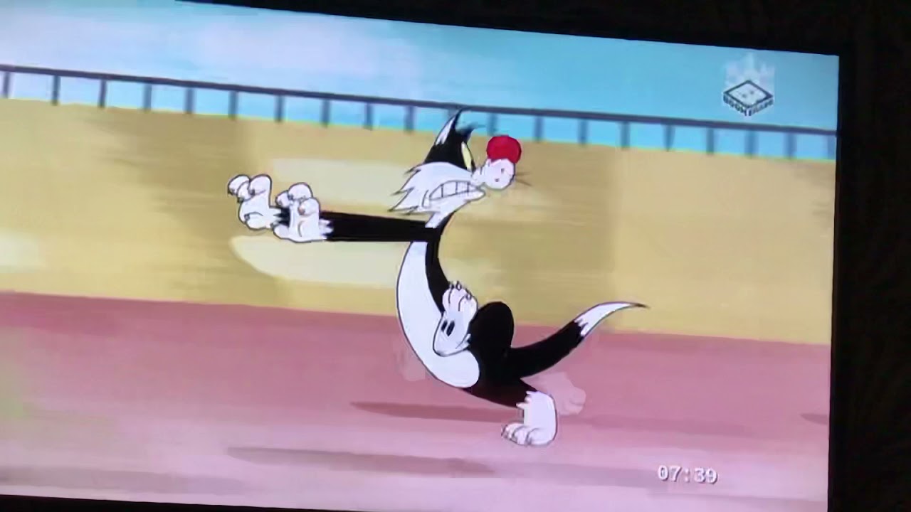 Looney tunes cartoons animal stampede - YouTube
