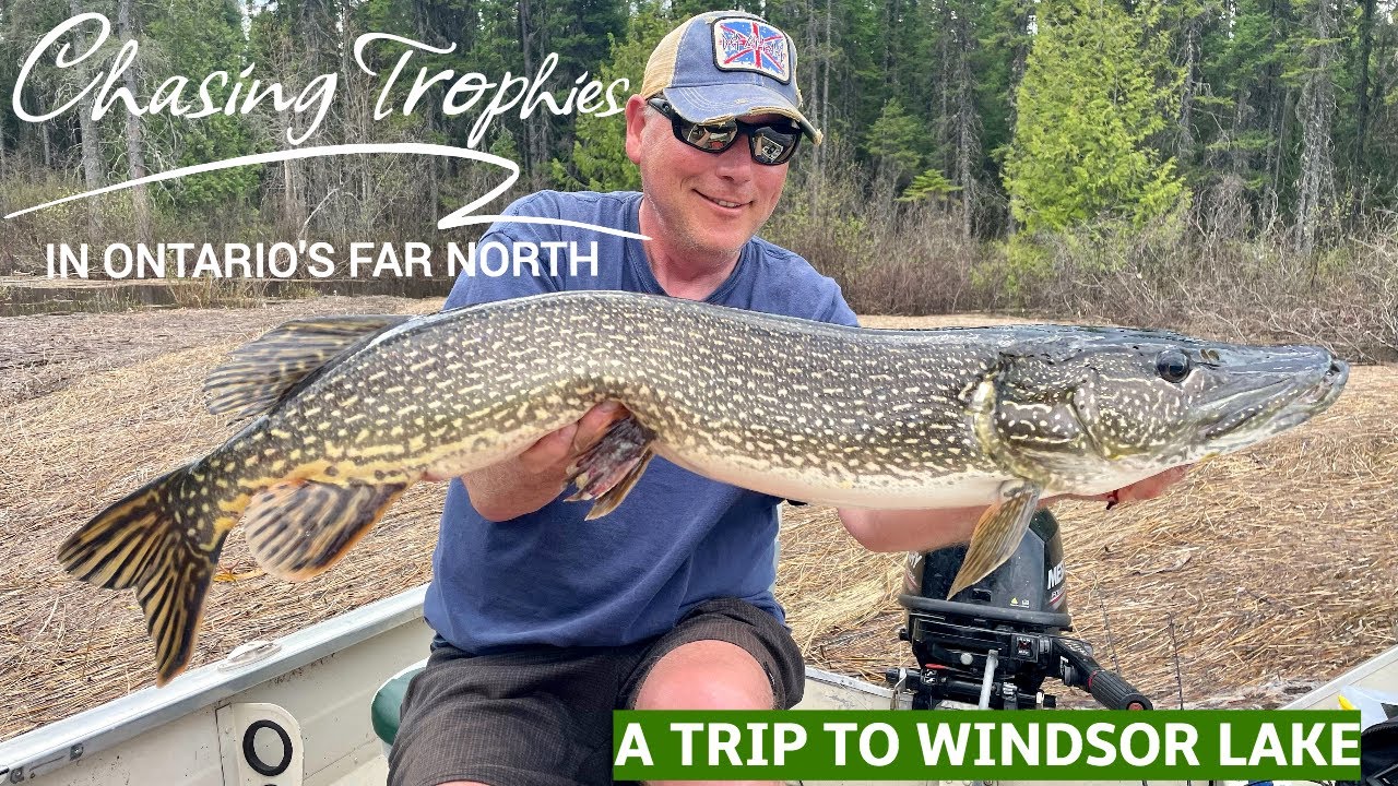 Chasing Trophies In Ontario's Far North - A Trip To Windsor Lake - YouTube