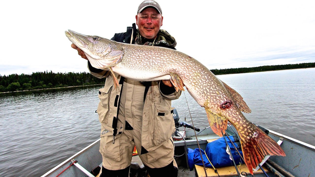 COLOSSAL LAC EVANS PIKE - YouTube