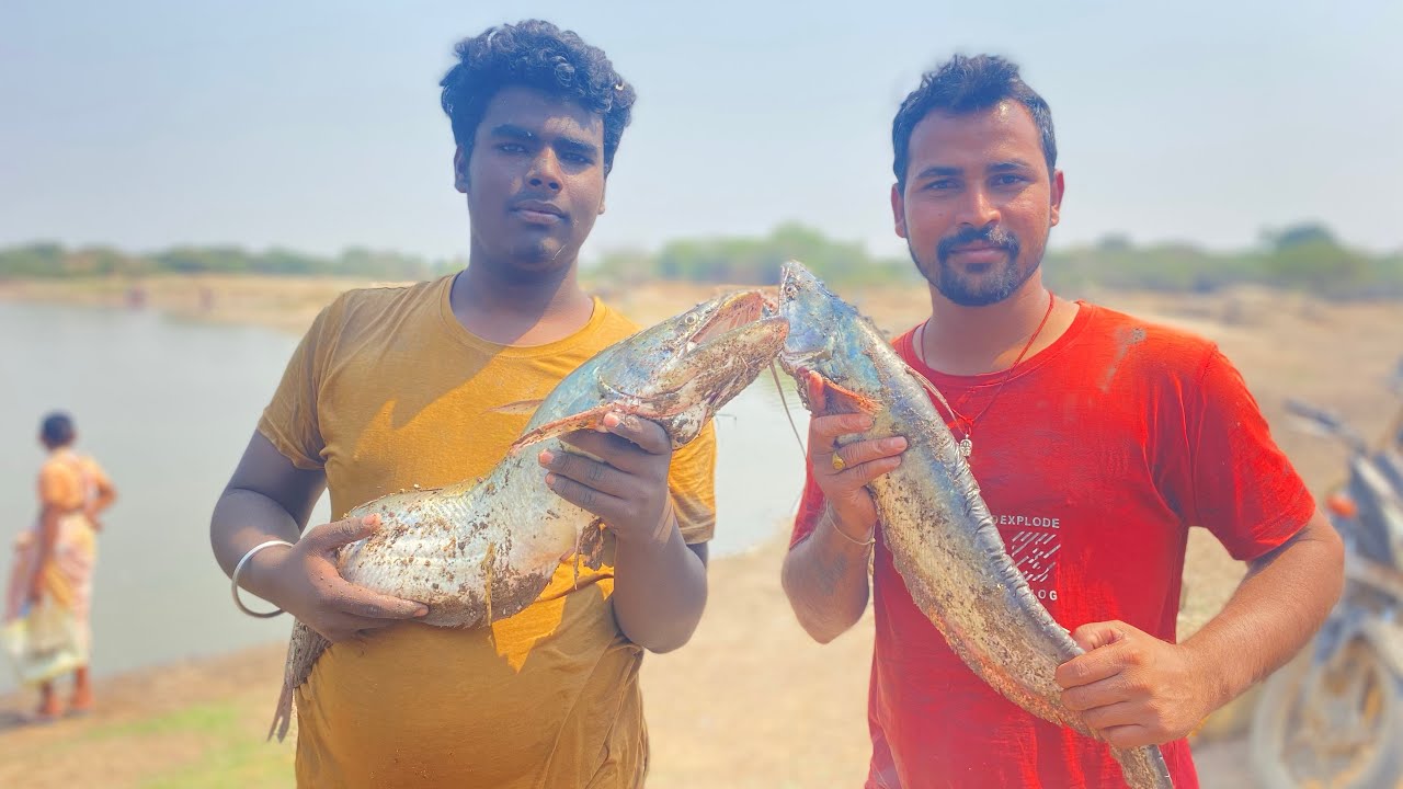 Village lo Chepalu Paduthe 🐠|| చేపలకు పోతే 🎣 || Fish 🐟 Hunting 🤣 ...