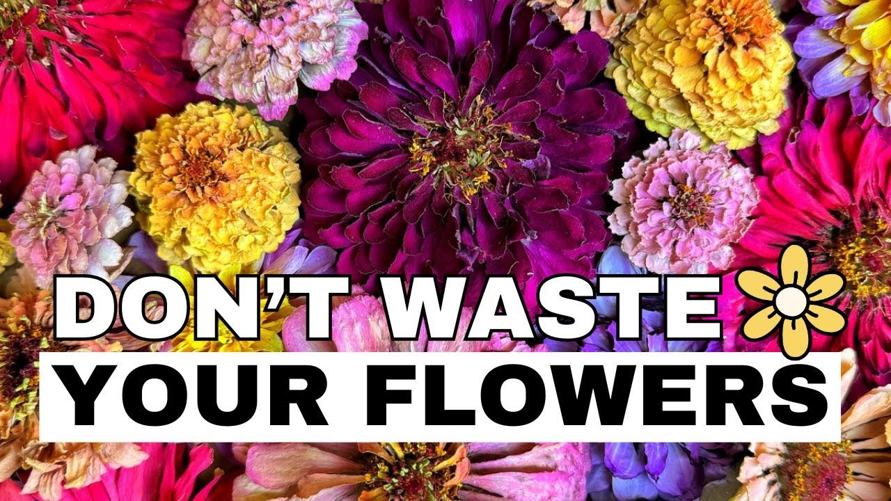 Let’s Make DRIED FLOWER ART 🌸 How to Dry Flowers 🌸 DIY Home Decor From ...