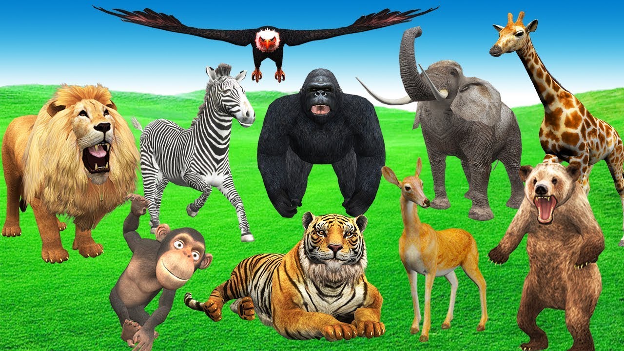 Learn Forest Animals Name And Sounds For Kids Children Babies / Animals ...