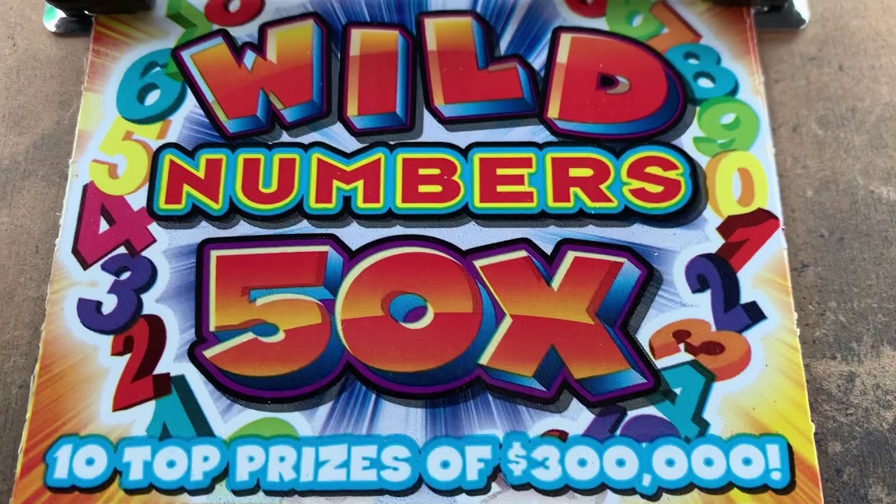 Wild Numbers 45,46 - YouTube
