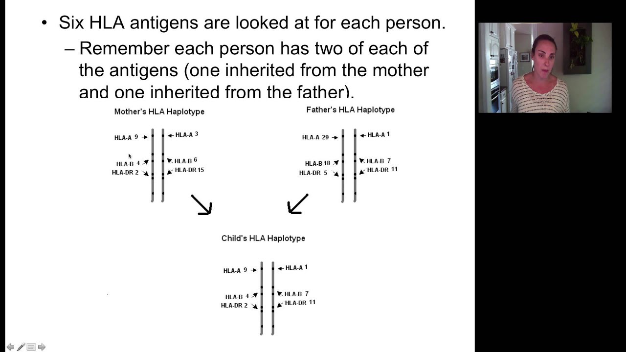 Tissue Typing - YouTube