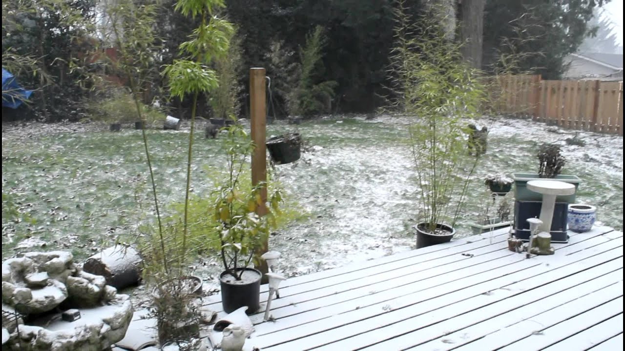 First Snow Storm (Tigard) PT 1 - YouTube