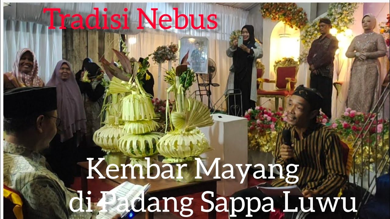 Tradisi Nebus kembar Mayang di.Padang Sappa Luwu Sulawesi Selatan ...