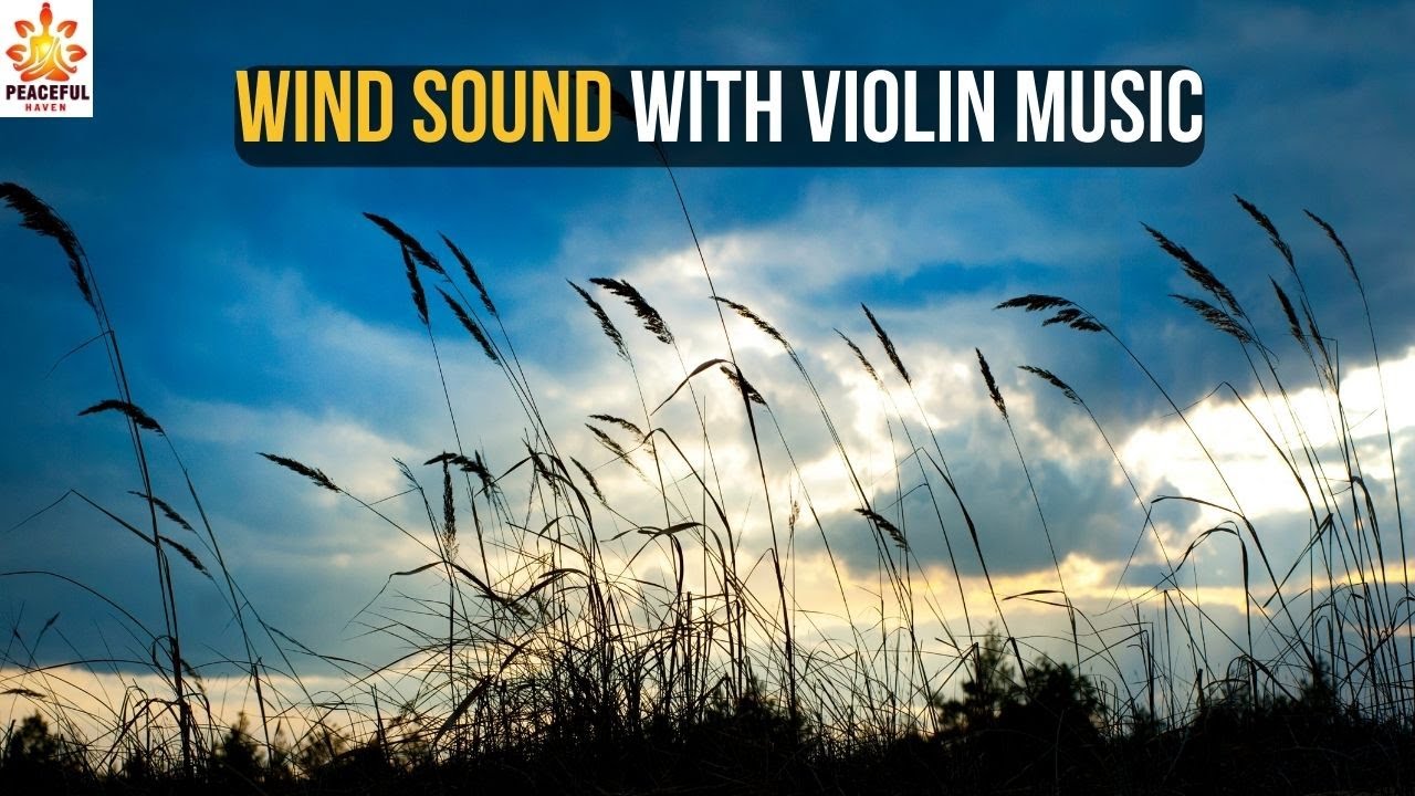 Peaceful and Relaxing Wind Sound for Sleeping or Stress Relief (Nature ...