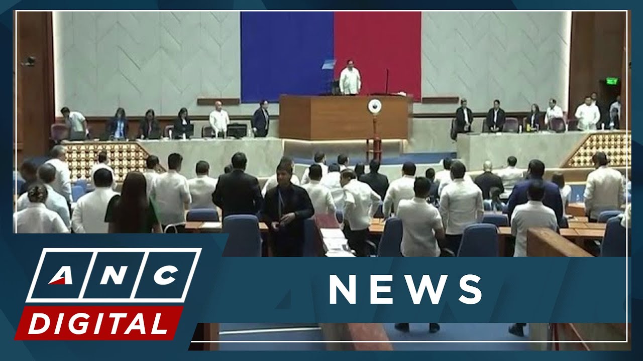 Rep. Salceda wants joint Congress vote on cha-cha as Senate repeatedly ...