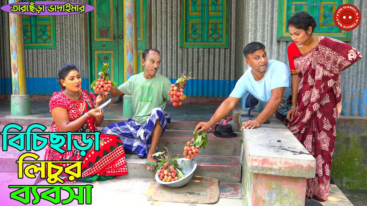 Bichi Chara Lichur Babsha | বিচি ছাড়া লিচুর ব্যবসা | Tarchera Vadaima ...