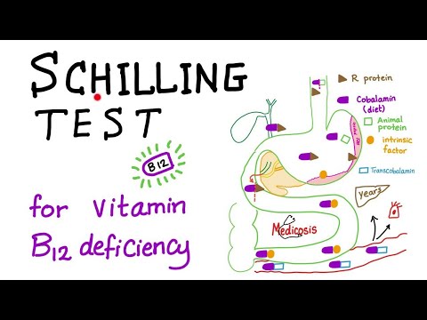 schilling test for vitamin B-12 deficiency// schilling test in Hindi ...