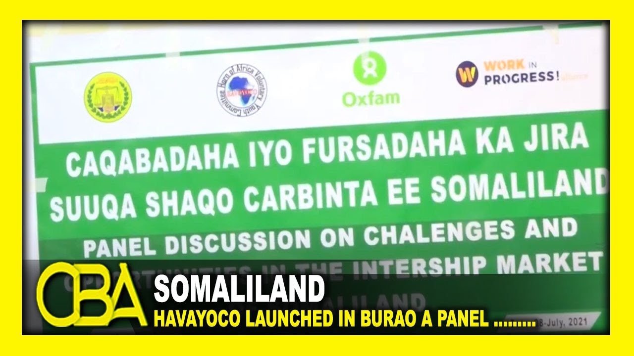 Havoyoco organizes a Panel Discussion on Challenges and Opportunities ...