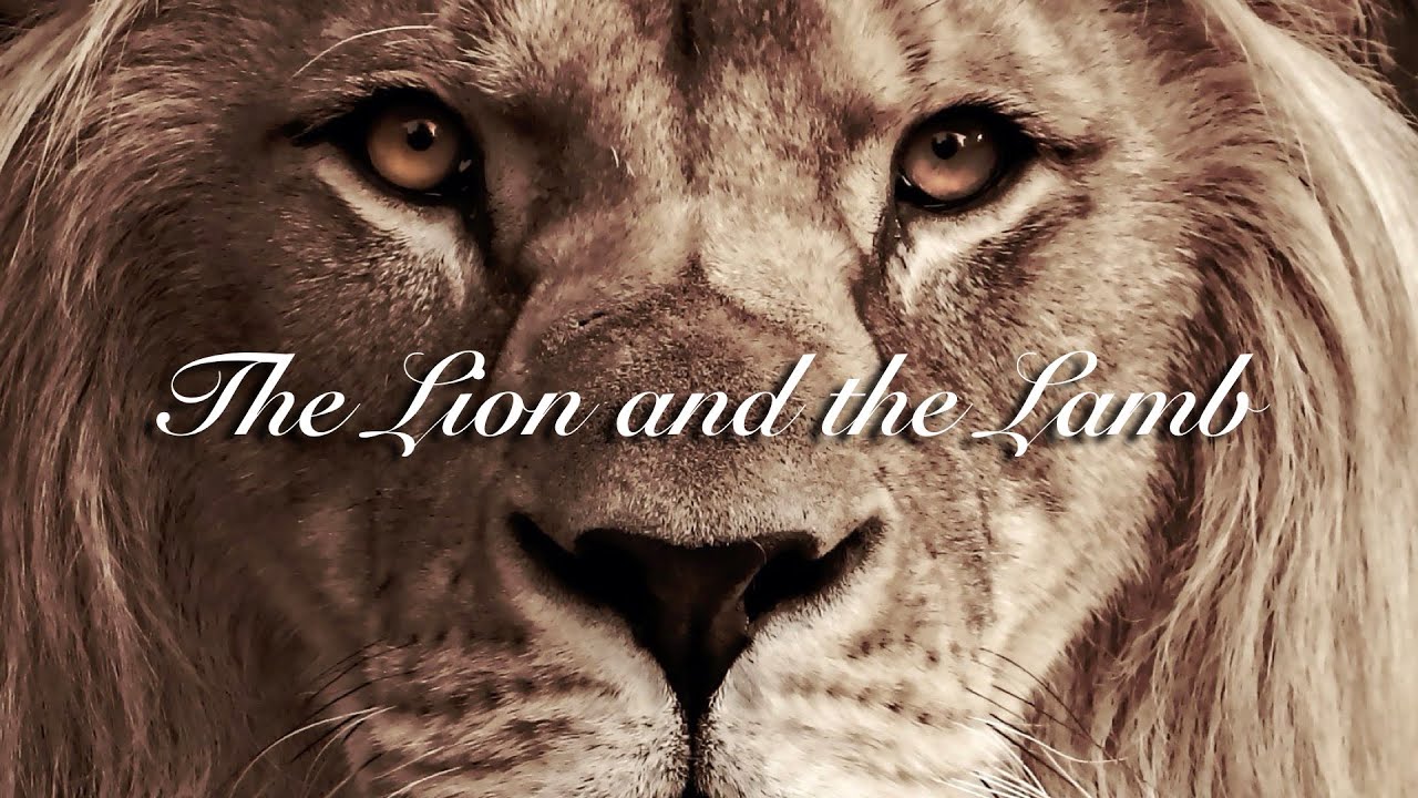 The Lion And The Lamb - LCC Collab Series - YouTube