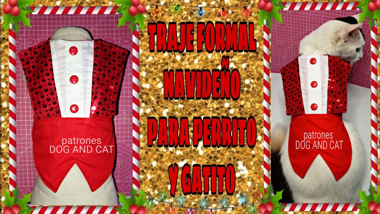 SMOKING NAVIDEÑO PARA PERRITO / CAPA FORMAL PARA PERRITO DIY - YouTube
