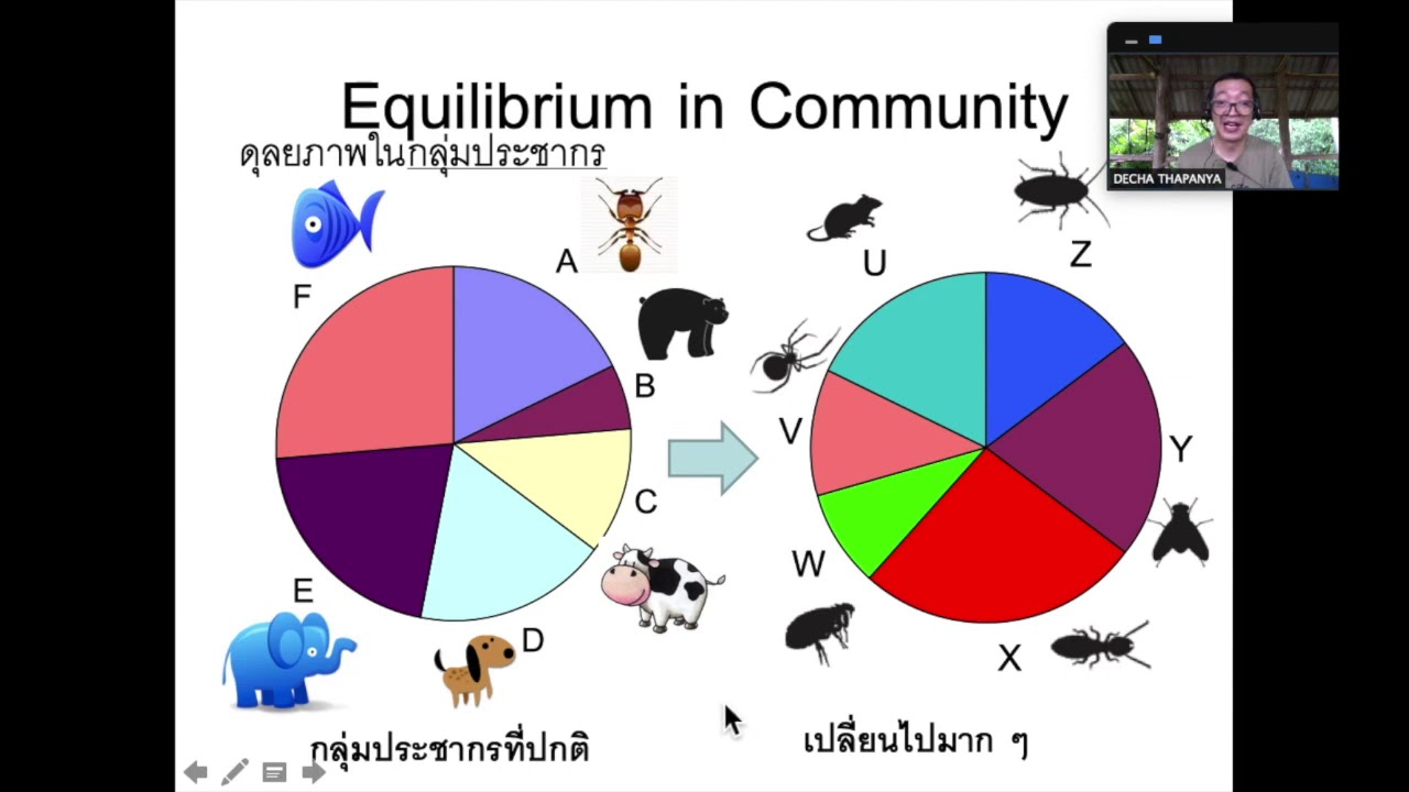 651105 Biodiversity and Equilibrium PART5 - YouTube