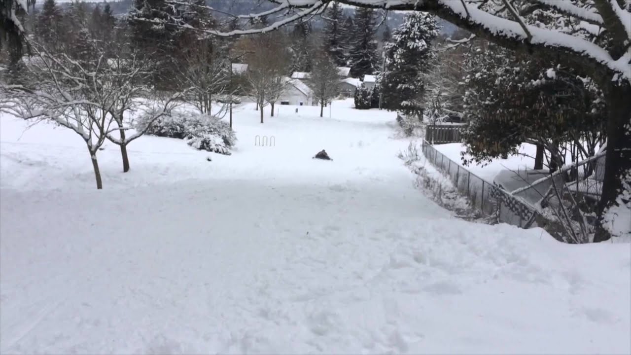 Winter Storm Fun - YouTube