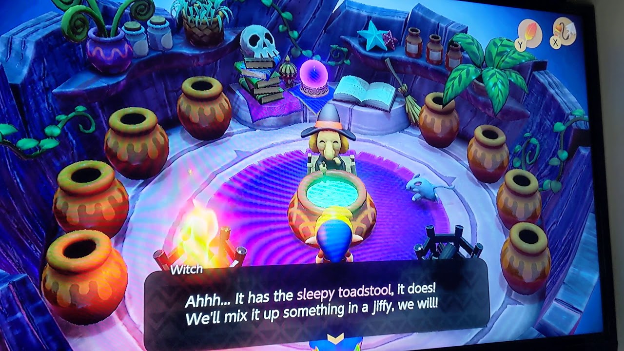 Zelda Link's Awakening witch stirring - YouTube