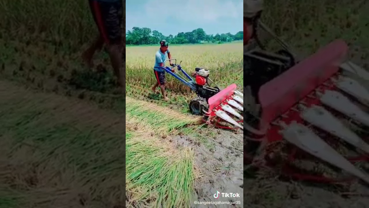 Micro trator colhedora de Arroz - YouTube