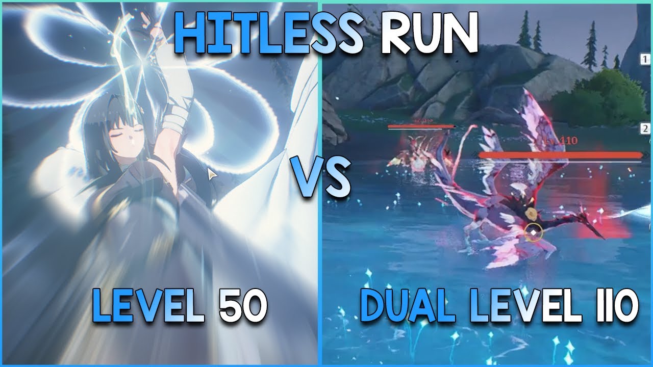 LEVEL 50 VS DUAL LEVEL 110 ELITE Twin Birds HITLESS RUN | Wuthering ...