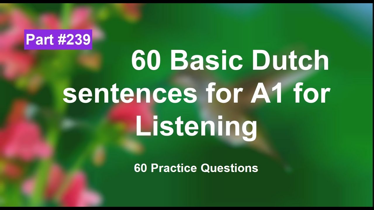 Online Dutch course part 239 – Vocabulary for beginners - YouTube