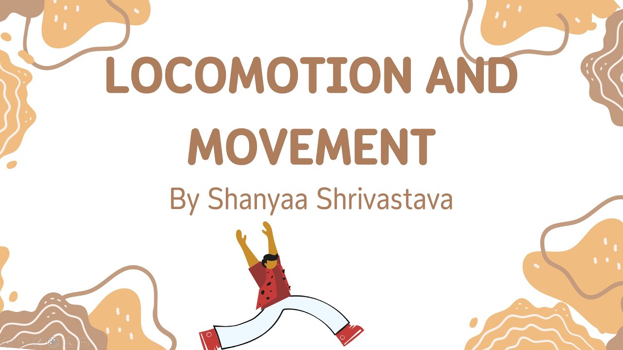 LOCOMOTION AND MOVEMENT--Mechanism of Muscle Contraction ||NCERT BASED ...