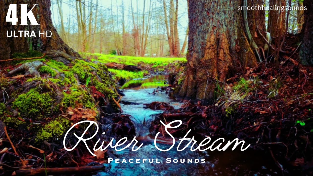 Relaxing River Stream: Peaceful River Sounds for Sleep, Relax Or Study ...