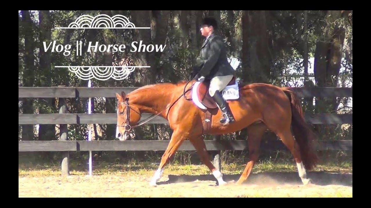 Vlog || Horse Show - YouTube