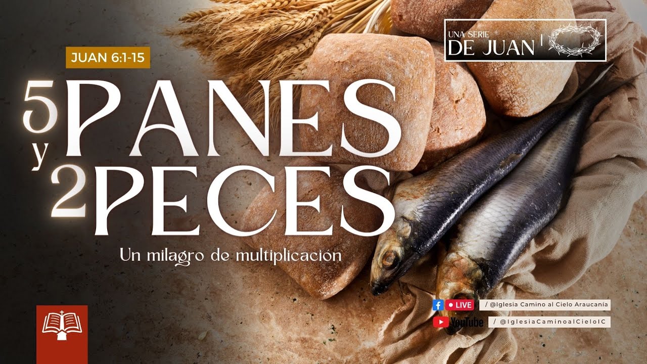 5 panes y 2 peces 🍞🐟 una milagrosa multiplicación | Juan 6:-15, serie ...
