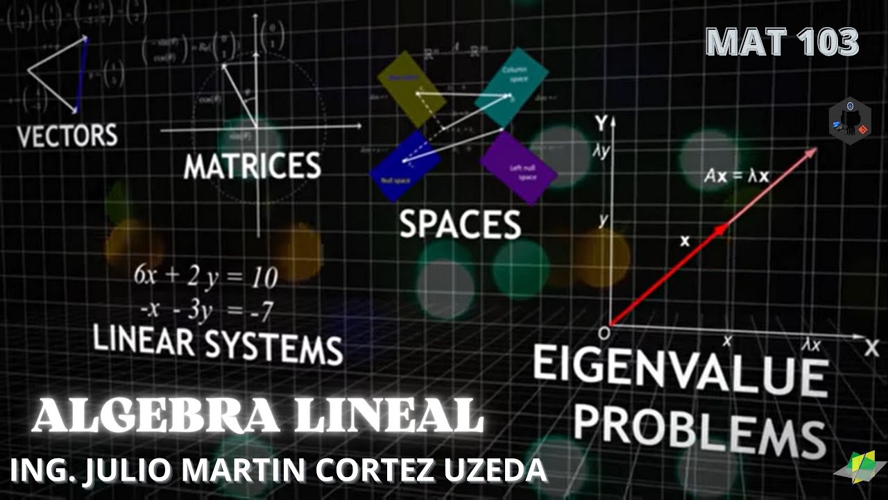 Calculo de Determinantes de una Matriz - FORMA TRIANGULAR SUPERIOR E ...