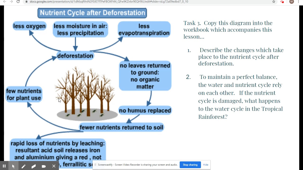 Nutrient Cycles - YouTube