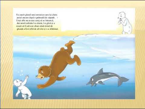 Povestea ursului cafeniu - YouTube