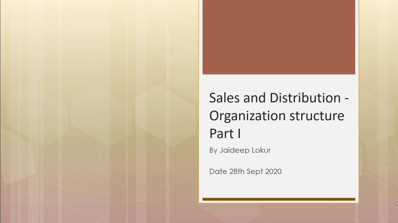 Sales and Distribution Organization structure Part I - YouTube
