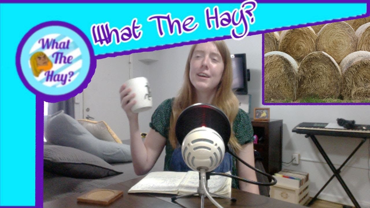 What the Hay: Is What The Hay? - YouTube