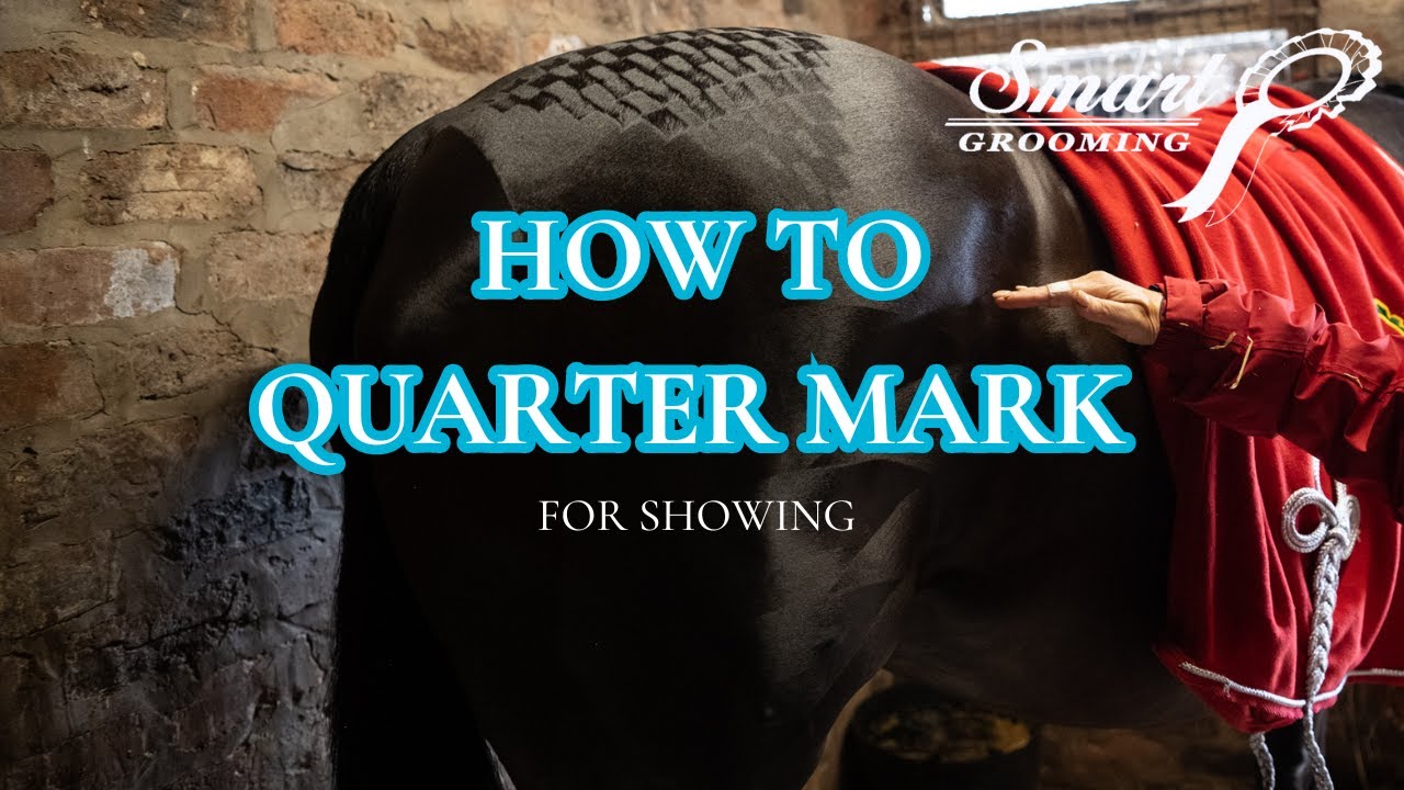 Quarter Marks On Horses