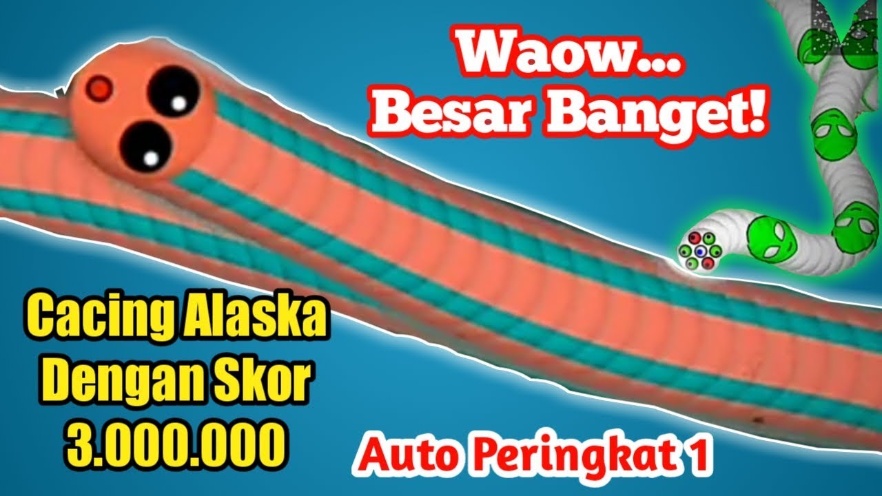 Beginilah Besarnya Cacing Alaska Dengan Skor 3.000.000 || Luar Biasa ...