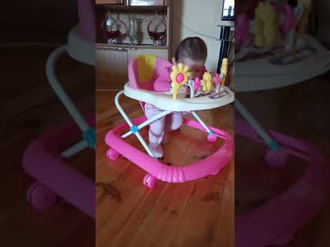 Maneji süre bilmeyen 1 eded deniz.(manejde ilk gunleri)