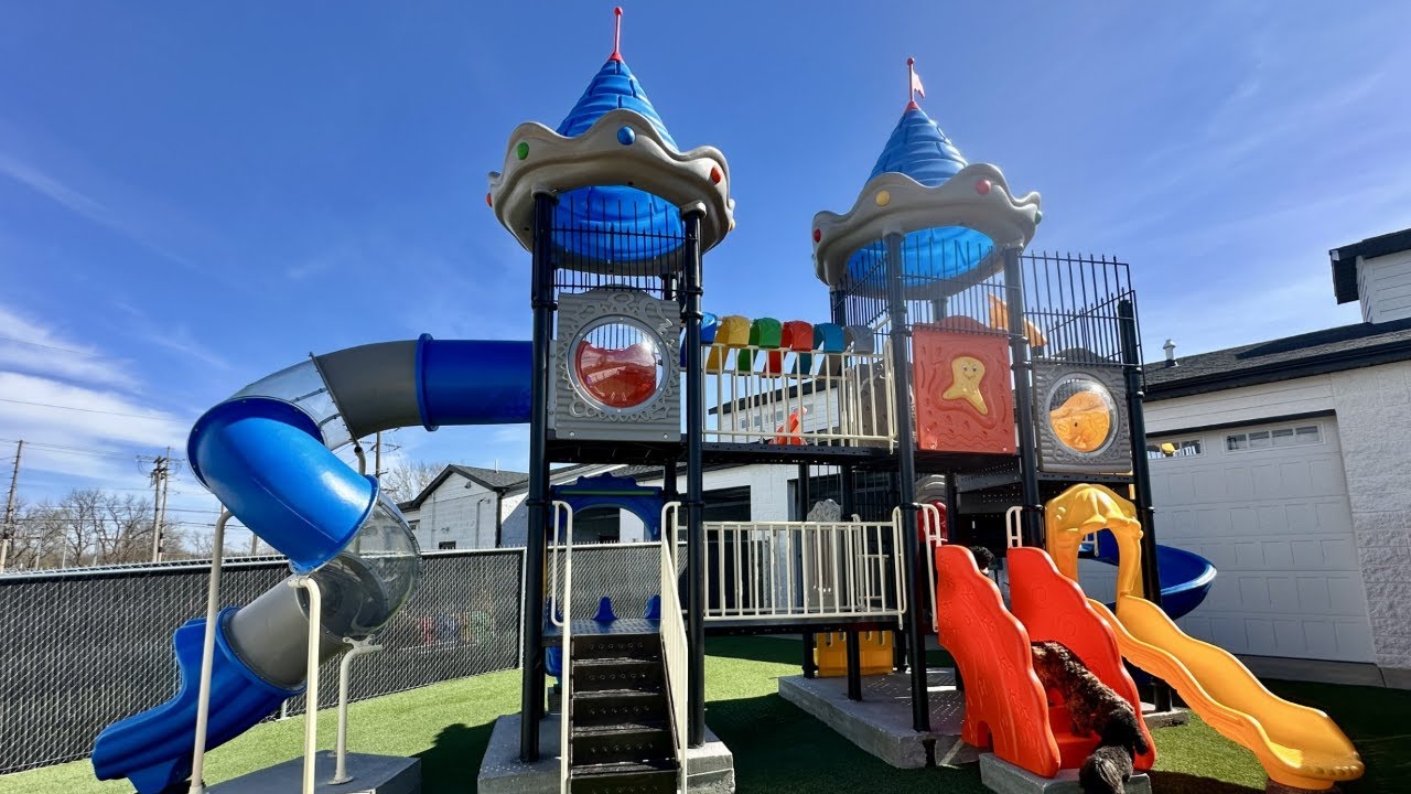 Watch Dogs Play LIVE on K9 Hideaway's Webcam! - YouTube