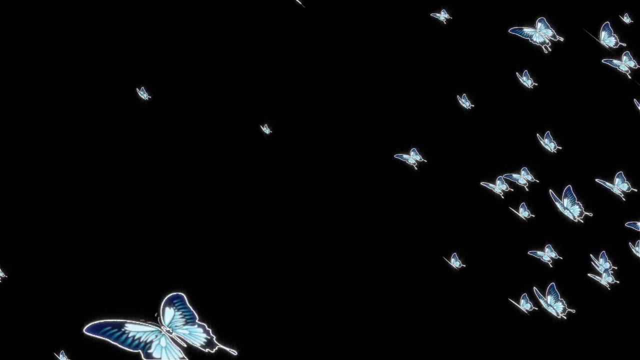 Magical Butterflies / Particles Blue Version 02 - Free Motion Graphics ...