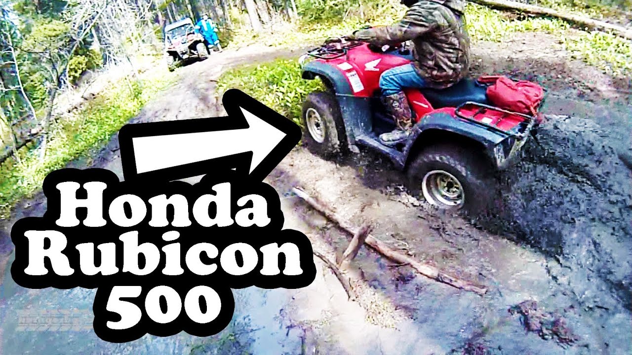 Honda Rubicon 500 4x4 Mudding - YouTube