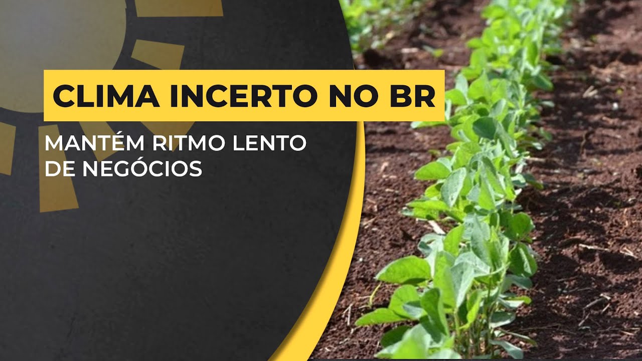 Clima incerto no BR mantém ritmo lento de negócios - YouTube